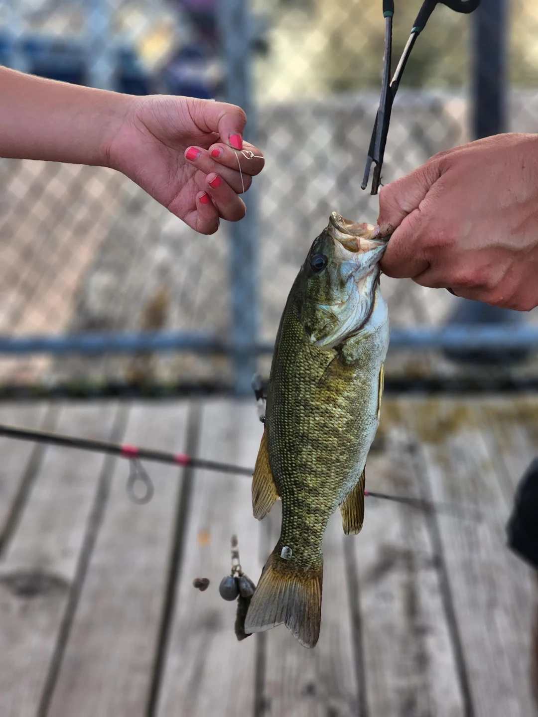 Picture my wife got of our daughter trying to help get the swallowed hook out. | Scrolller