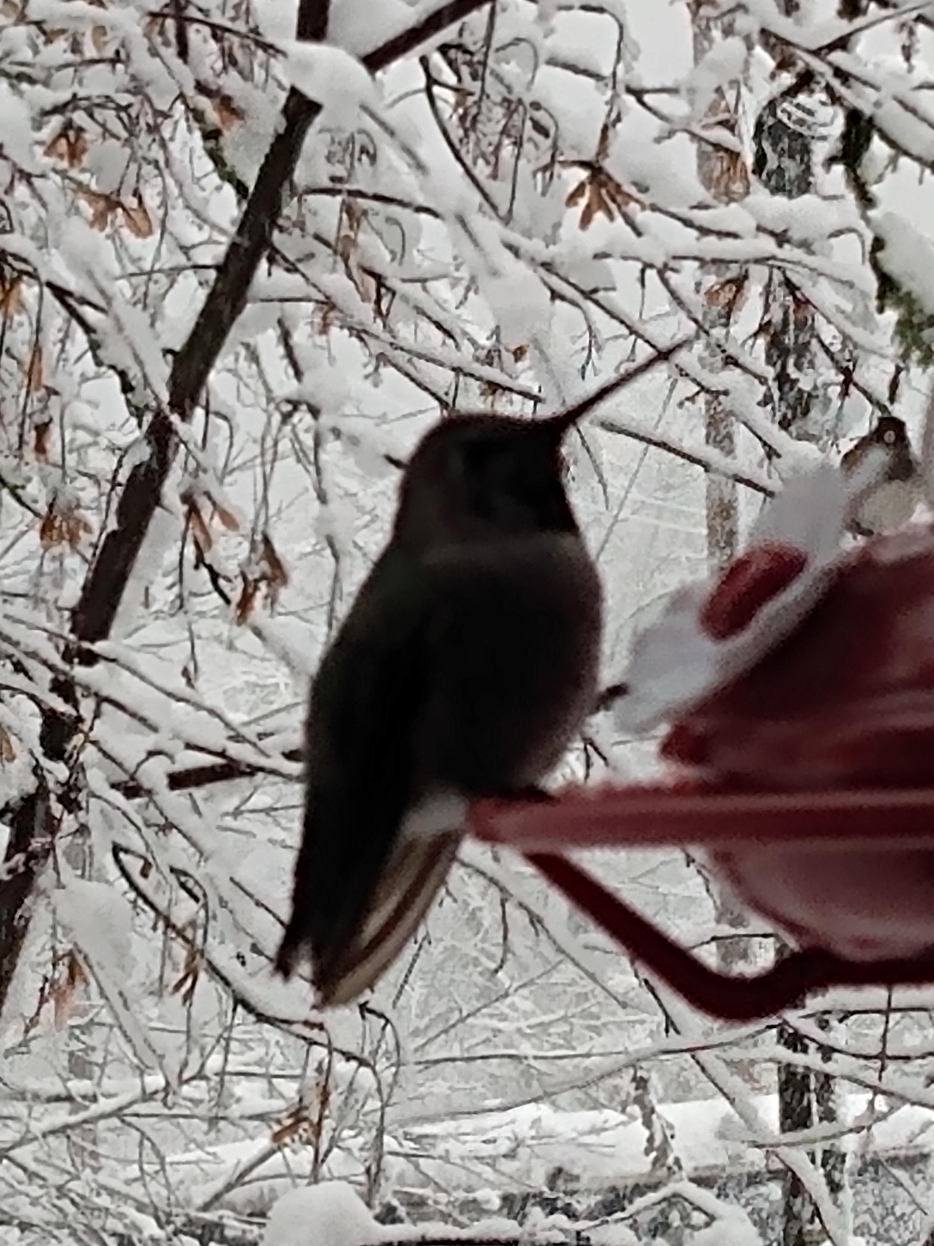 Chilling | Scrolller