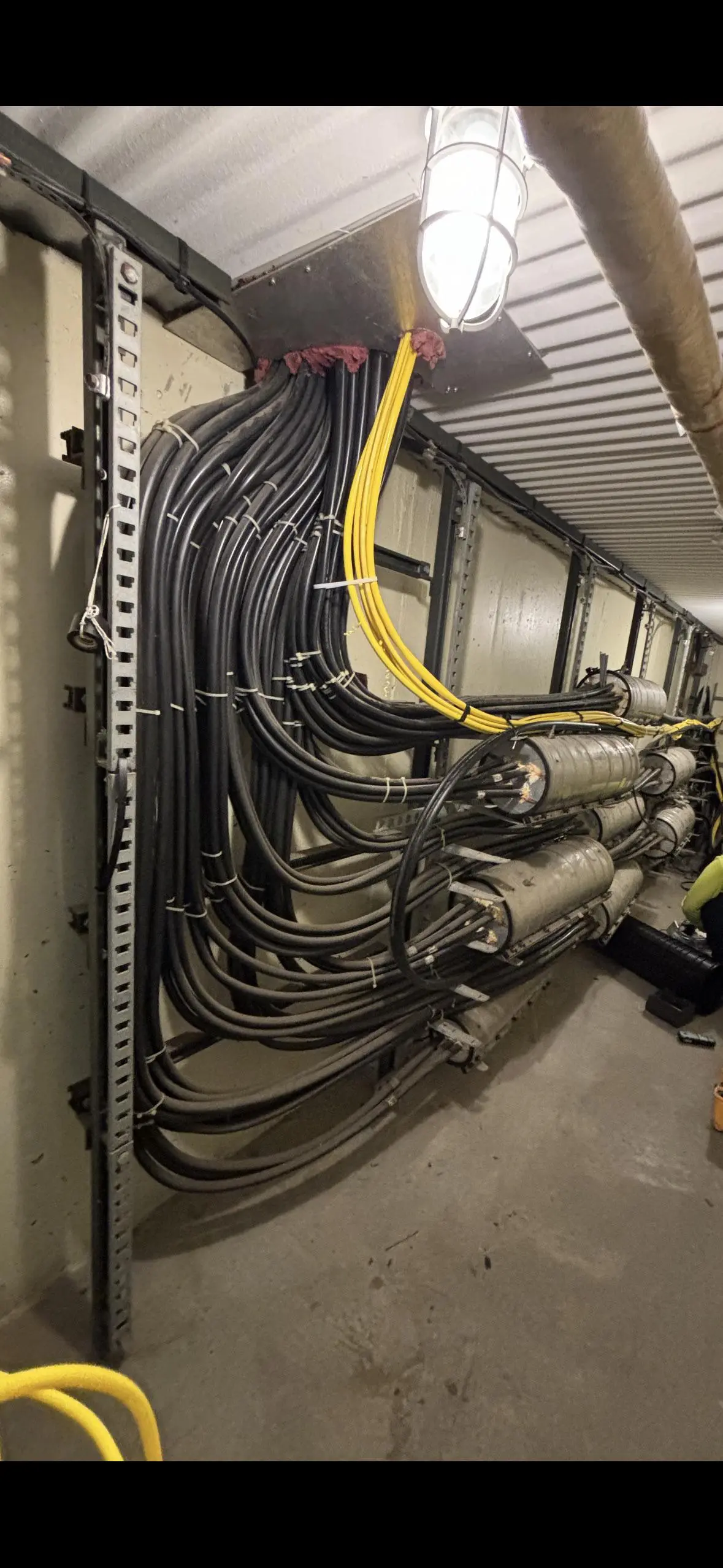 Circa 1990 (Colorized) | Scrolller