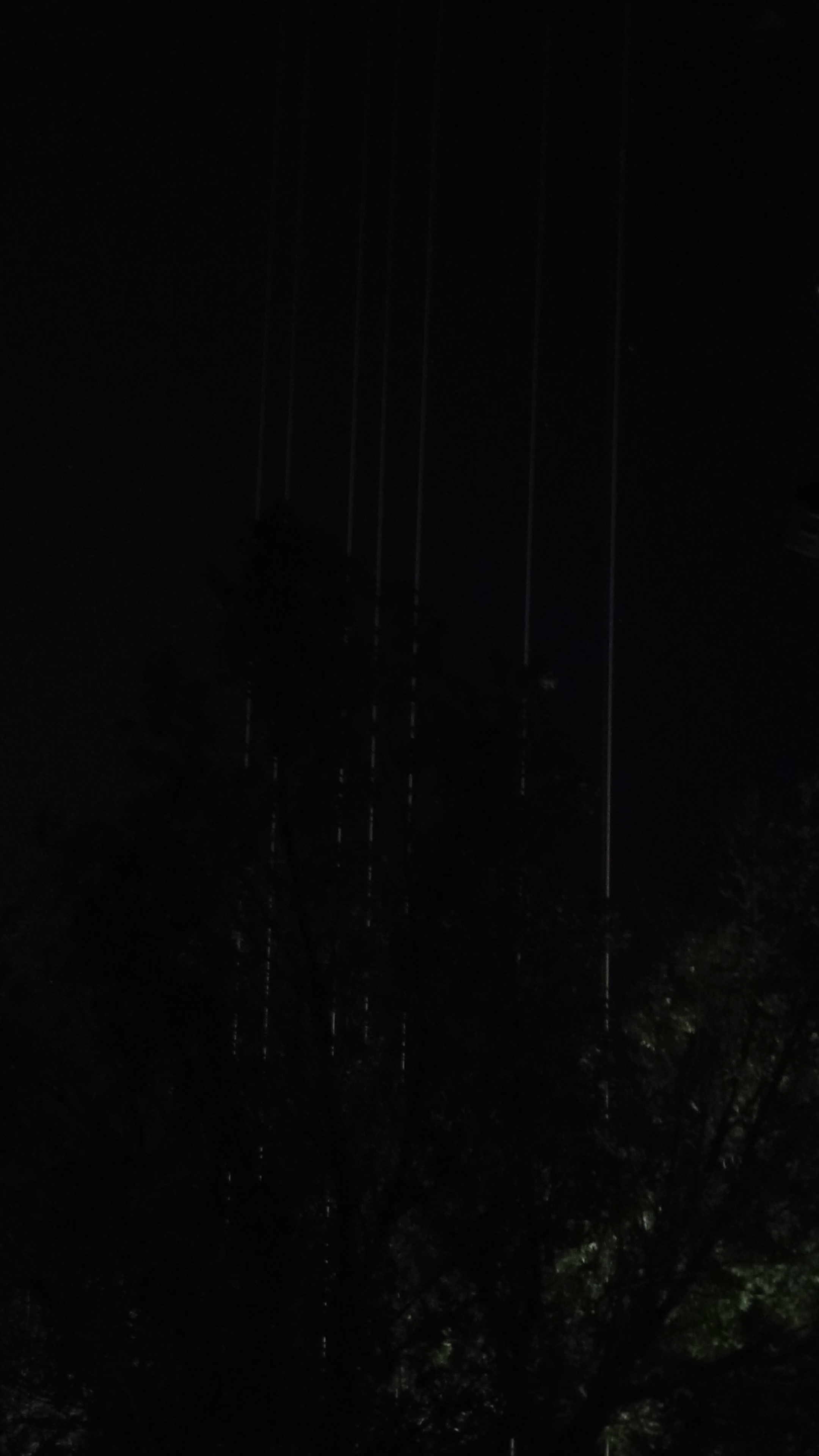 Trees and powerlines | Scrolller