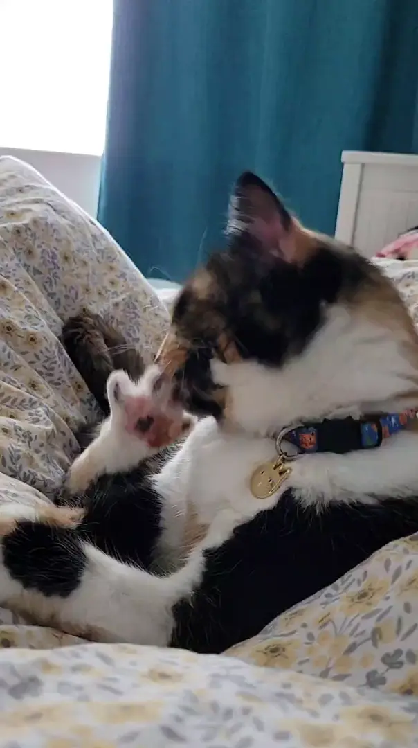 Cleaning dem toe beans | Scrolller