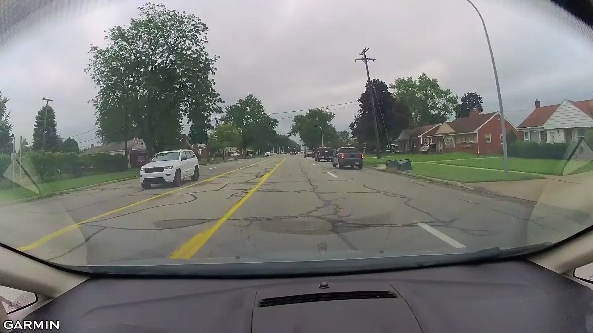 Close call with beetle [oc] | Scrolller