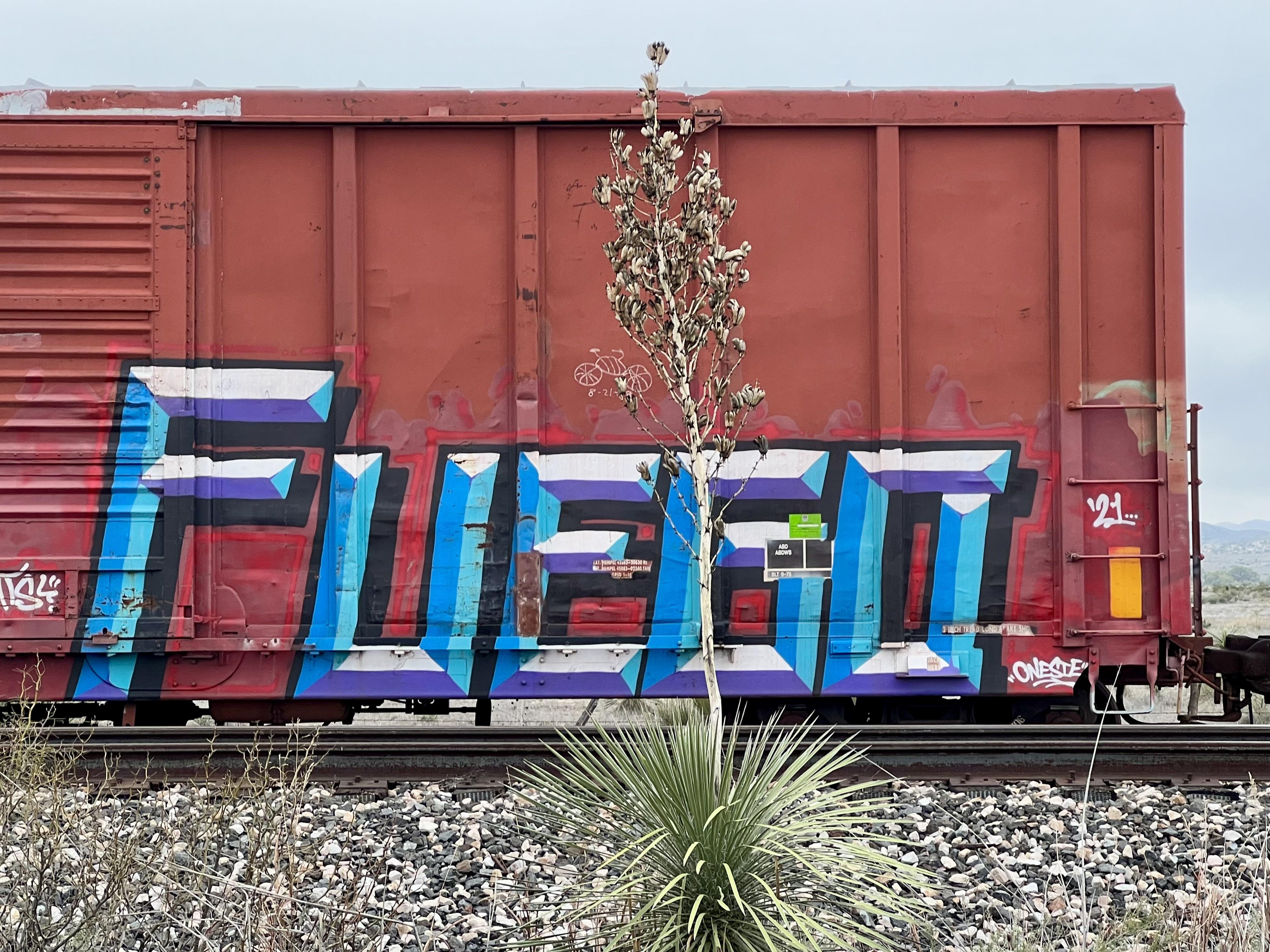 Discover more like Graffiti: MEWTZ/FUEGO and Related Content | Scrolller