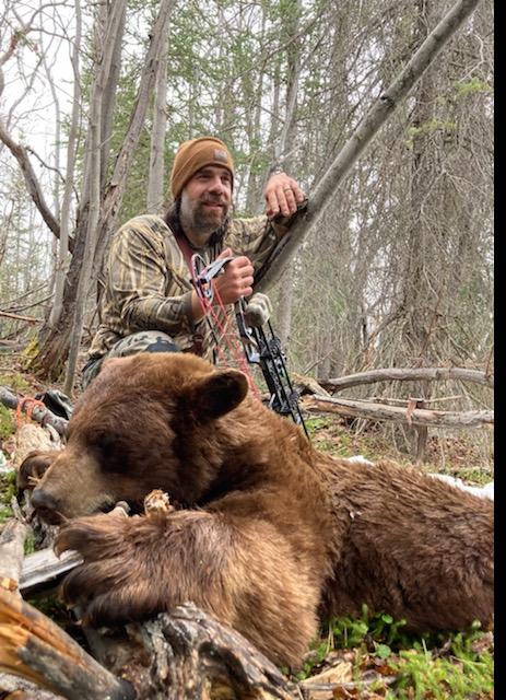 Tanker Cinnamon Black Bear | Scrolller