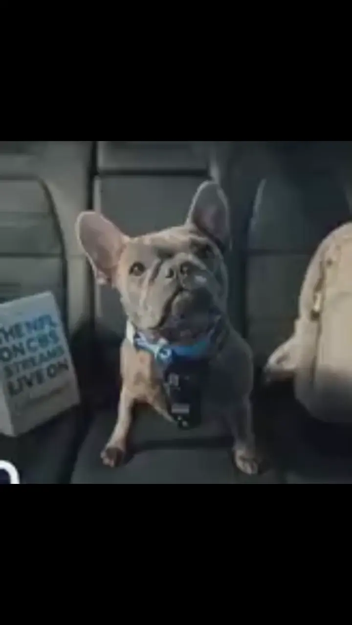 Coach, speak | Scrolller