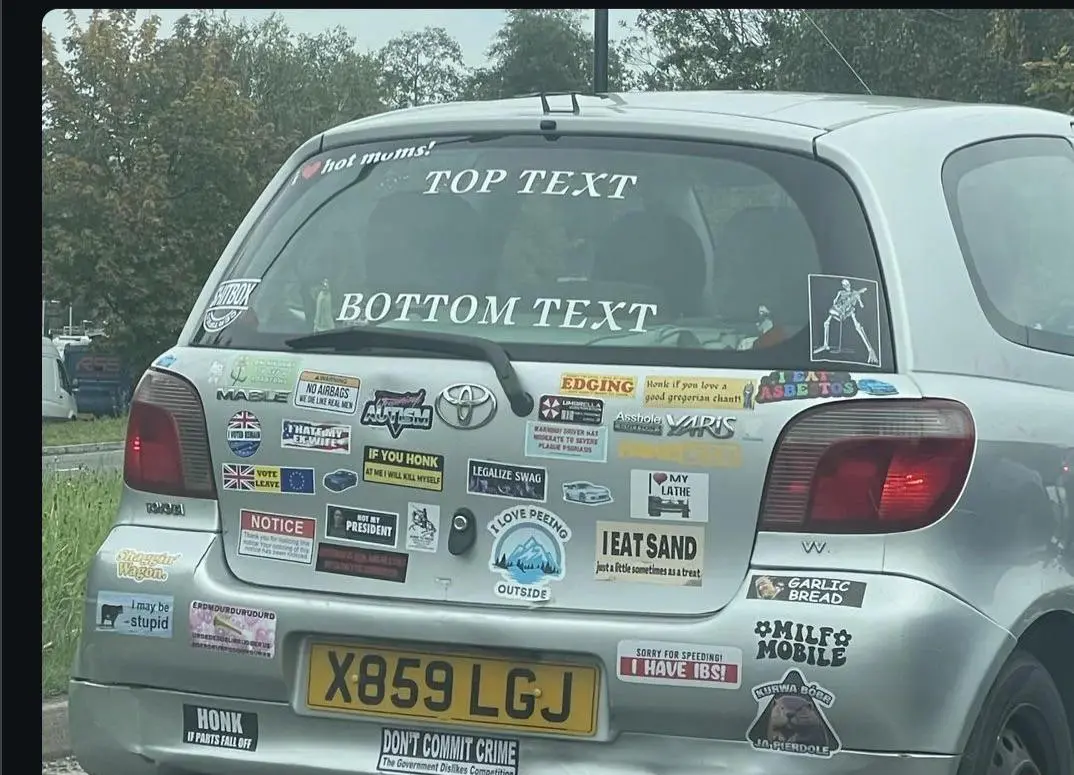 Coldones official UK whip (send me Grog) | Scrolller