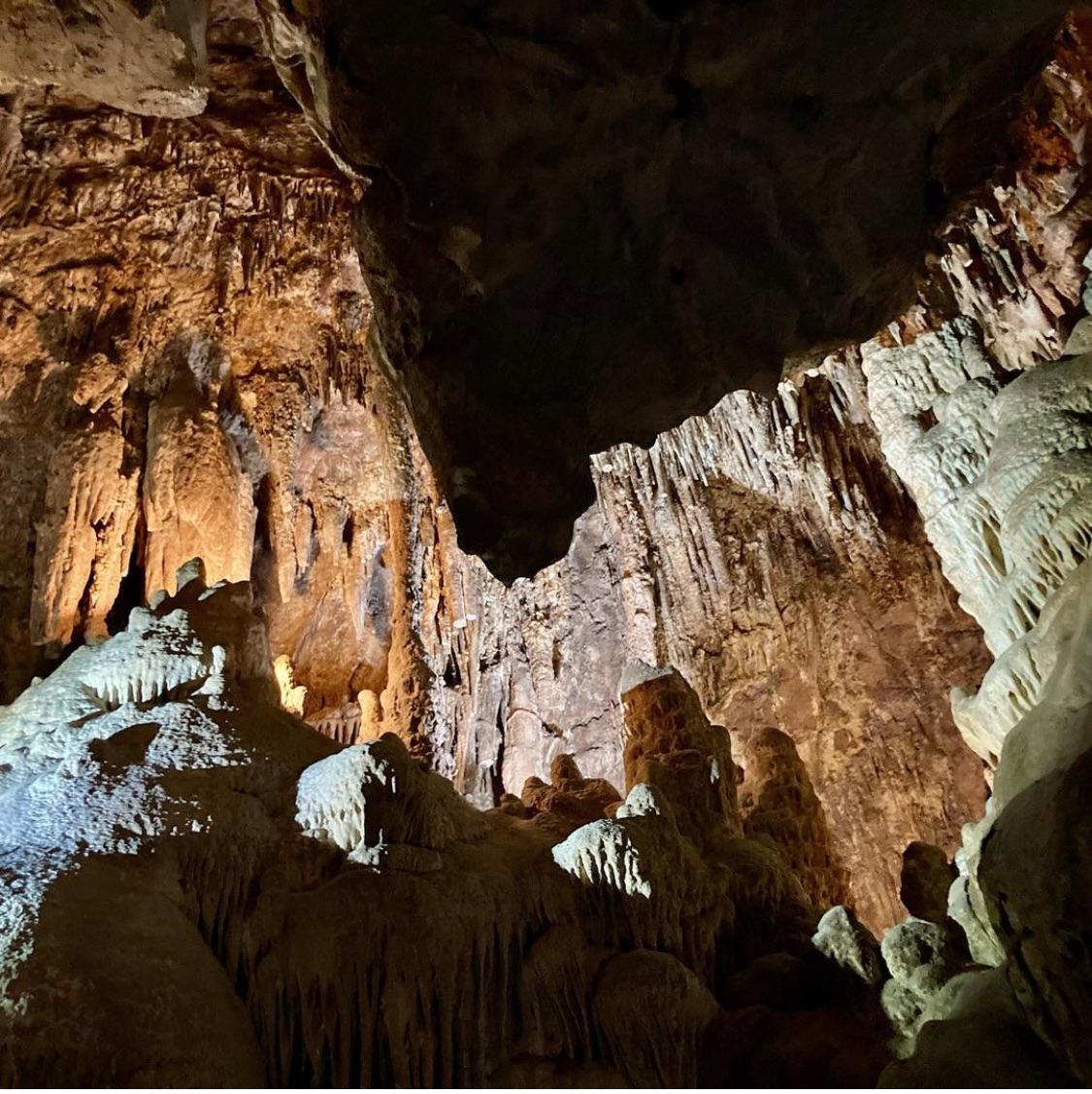 Colossal | Scrolller