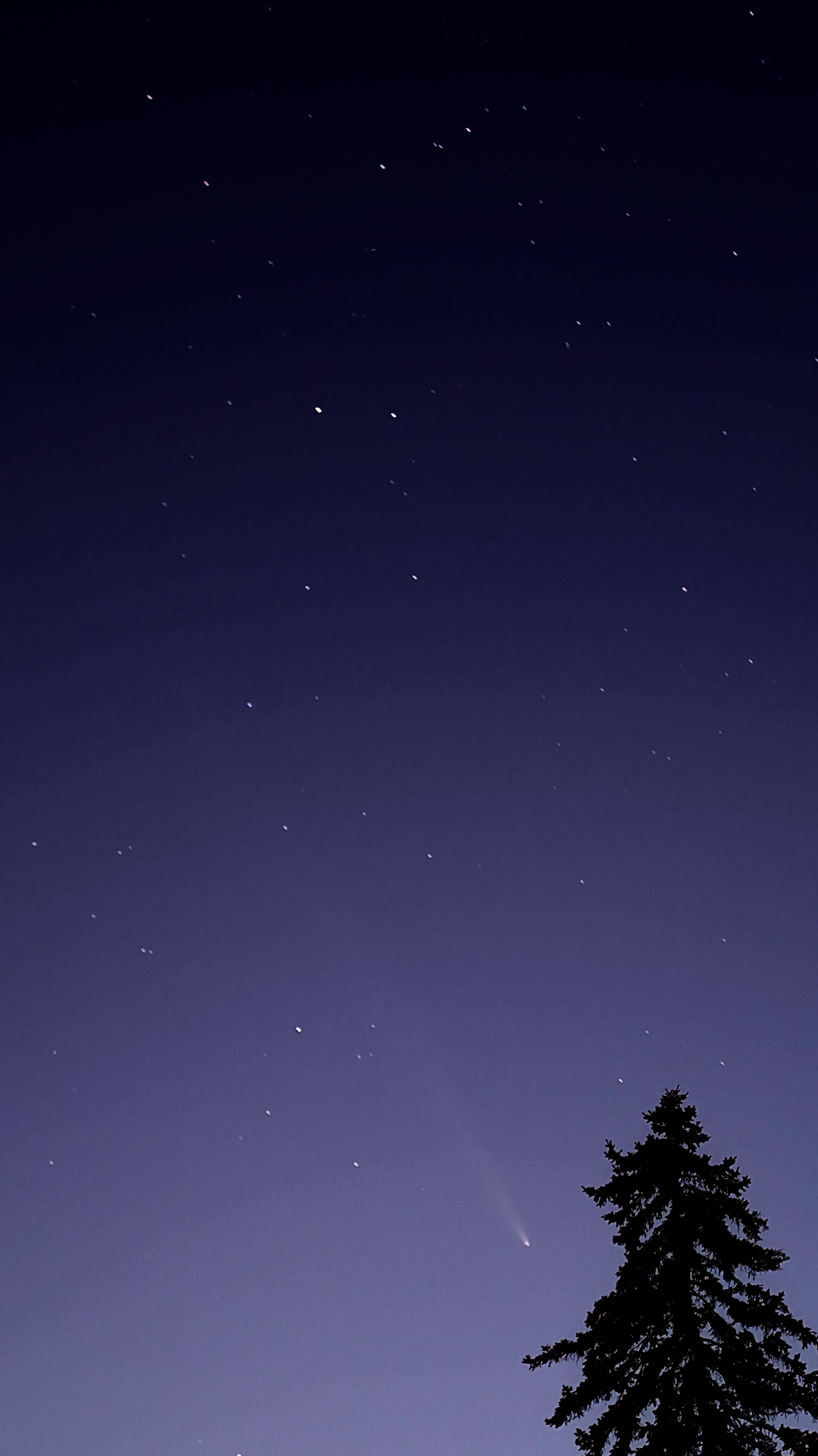 Comet C/2023 (aka A3) from my backyard | Scrolller