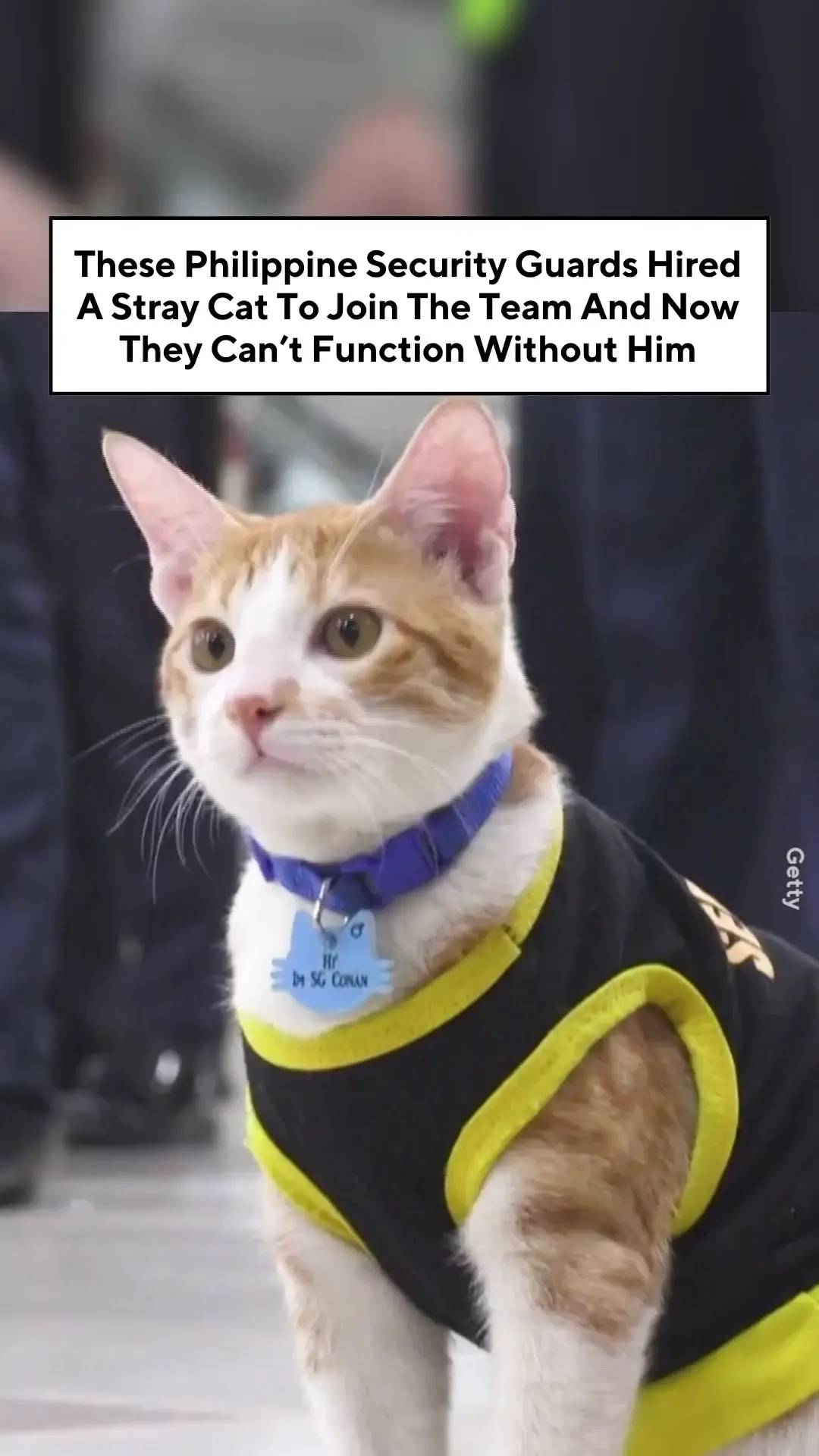 Conan the Security Guard | Scrolller