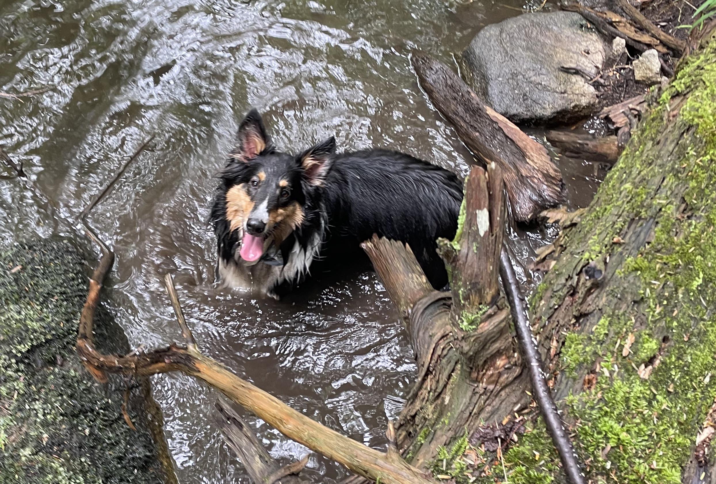 Cooling Tips? | Scrolller