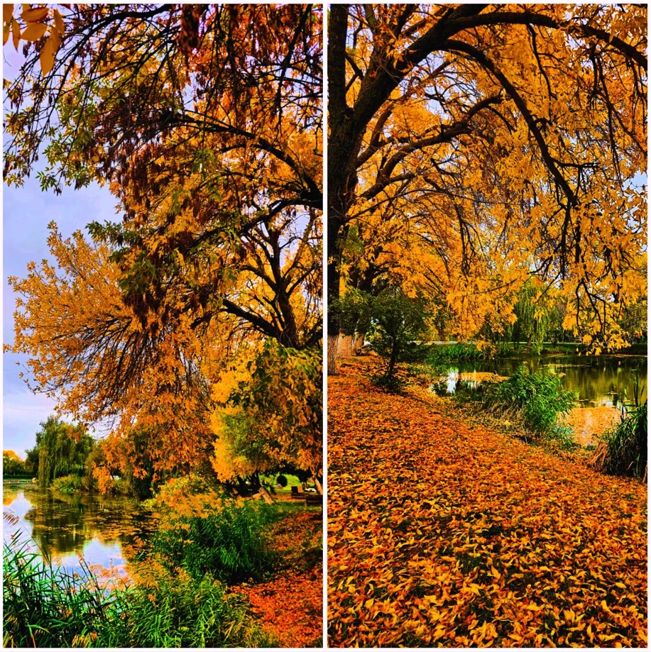 Cozy Colors | Scrolller