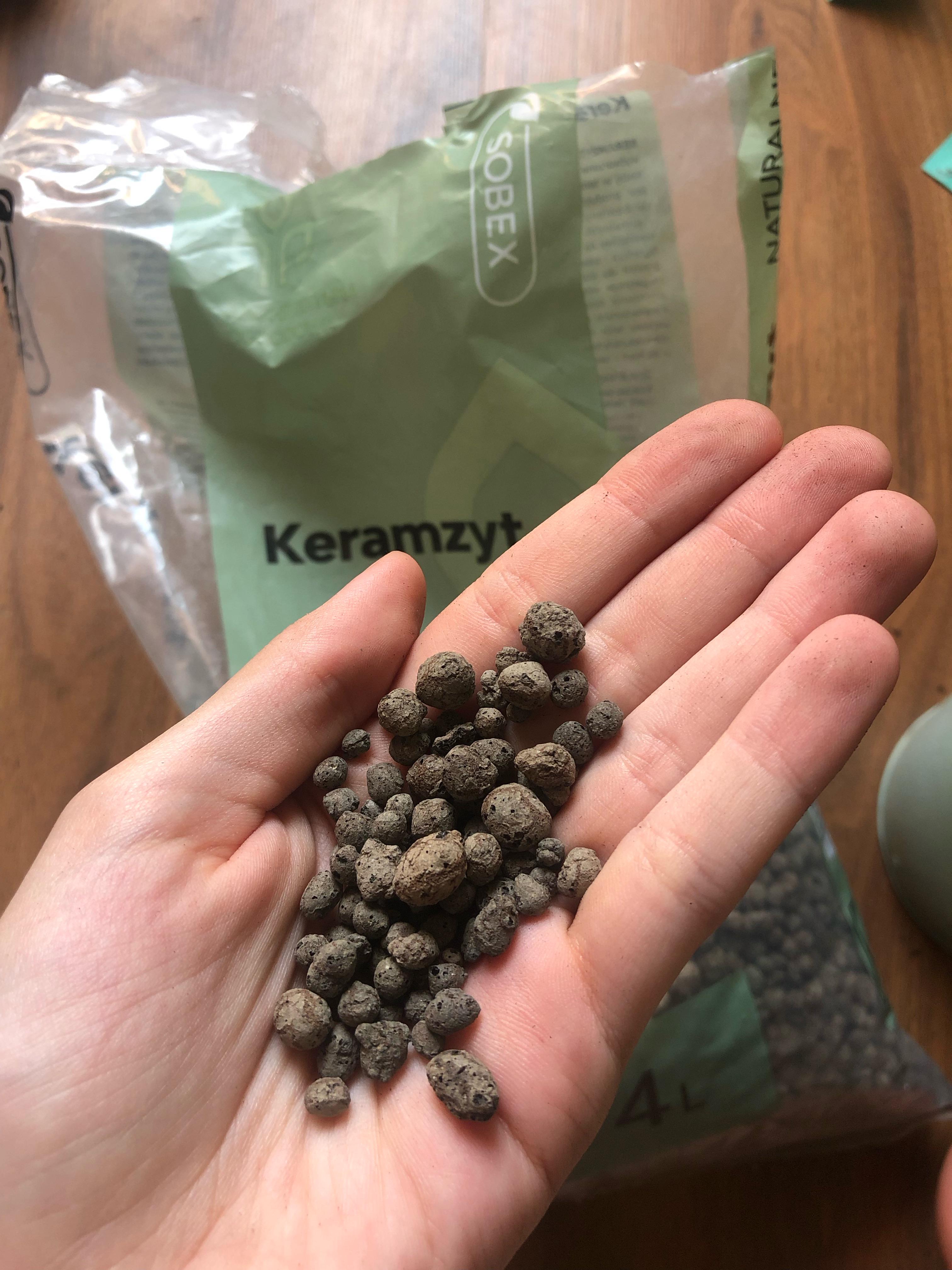 Pica | Pictures | Scrolller