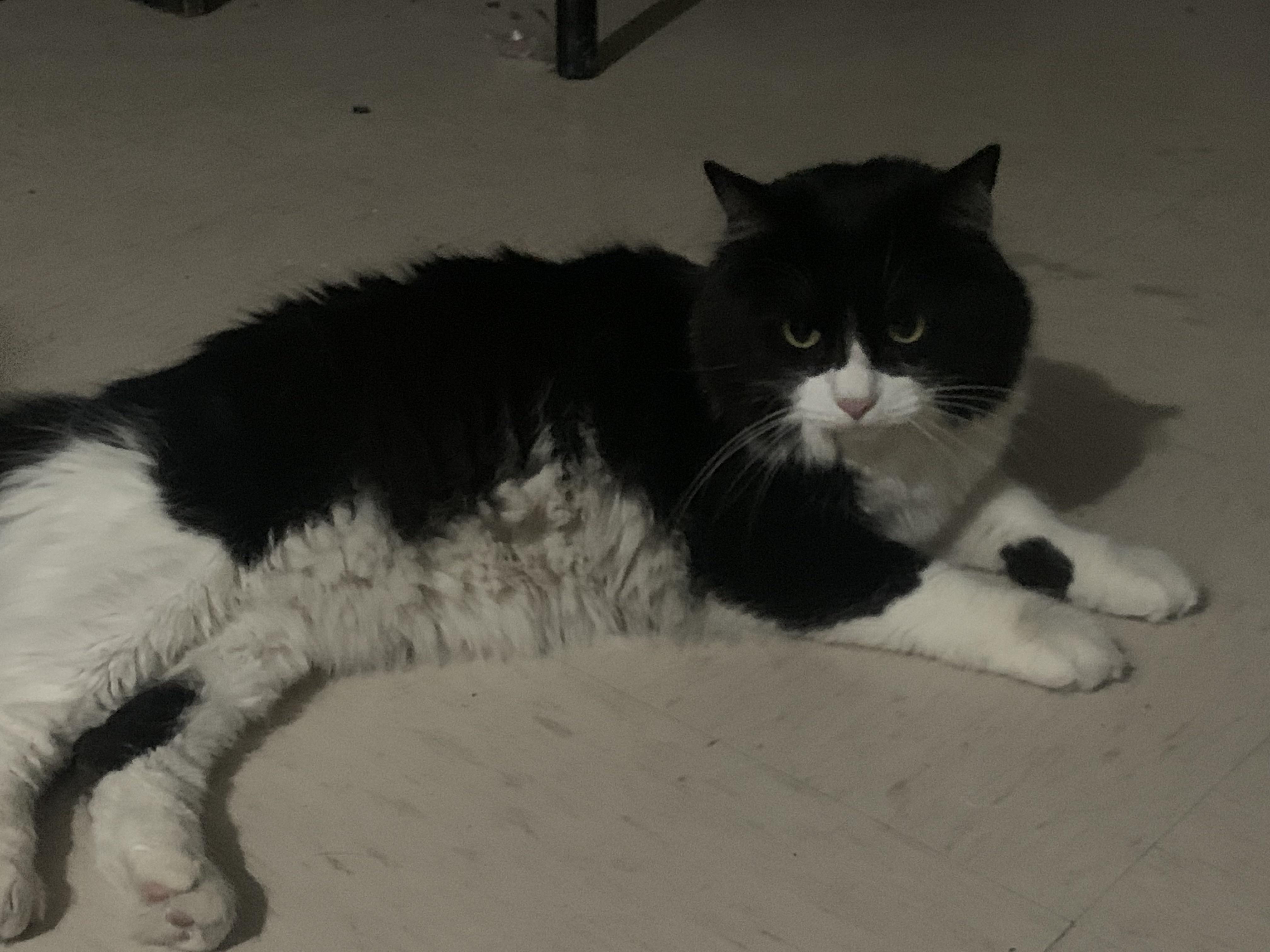 Creature Feature | Scrolller