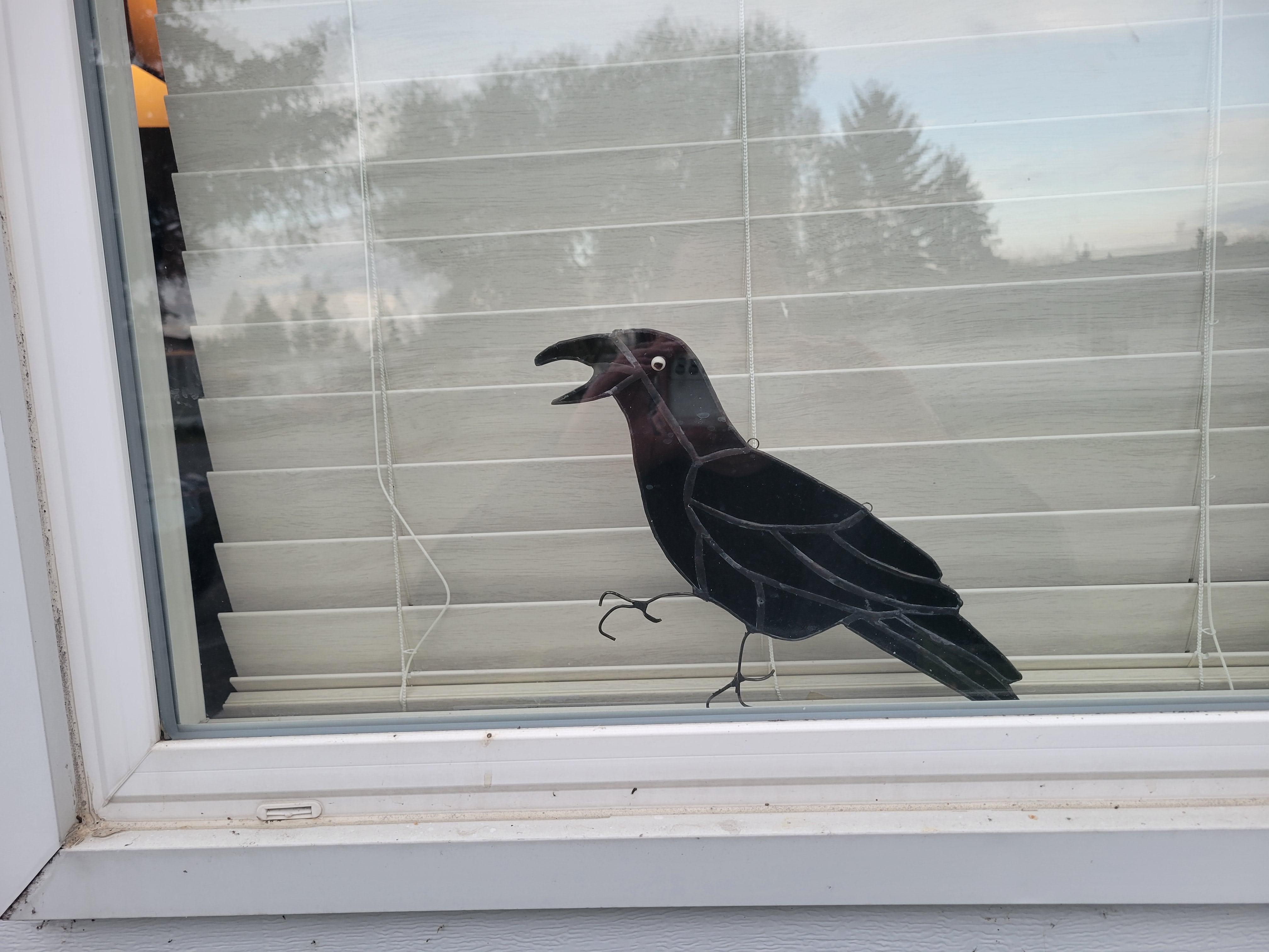 Crow-bro in the window 😊 | Scrolller