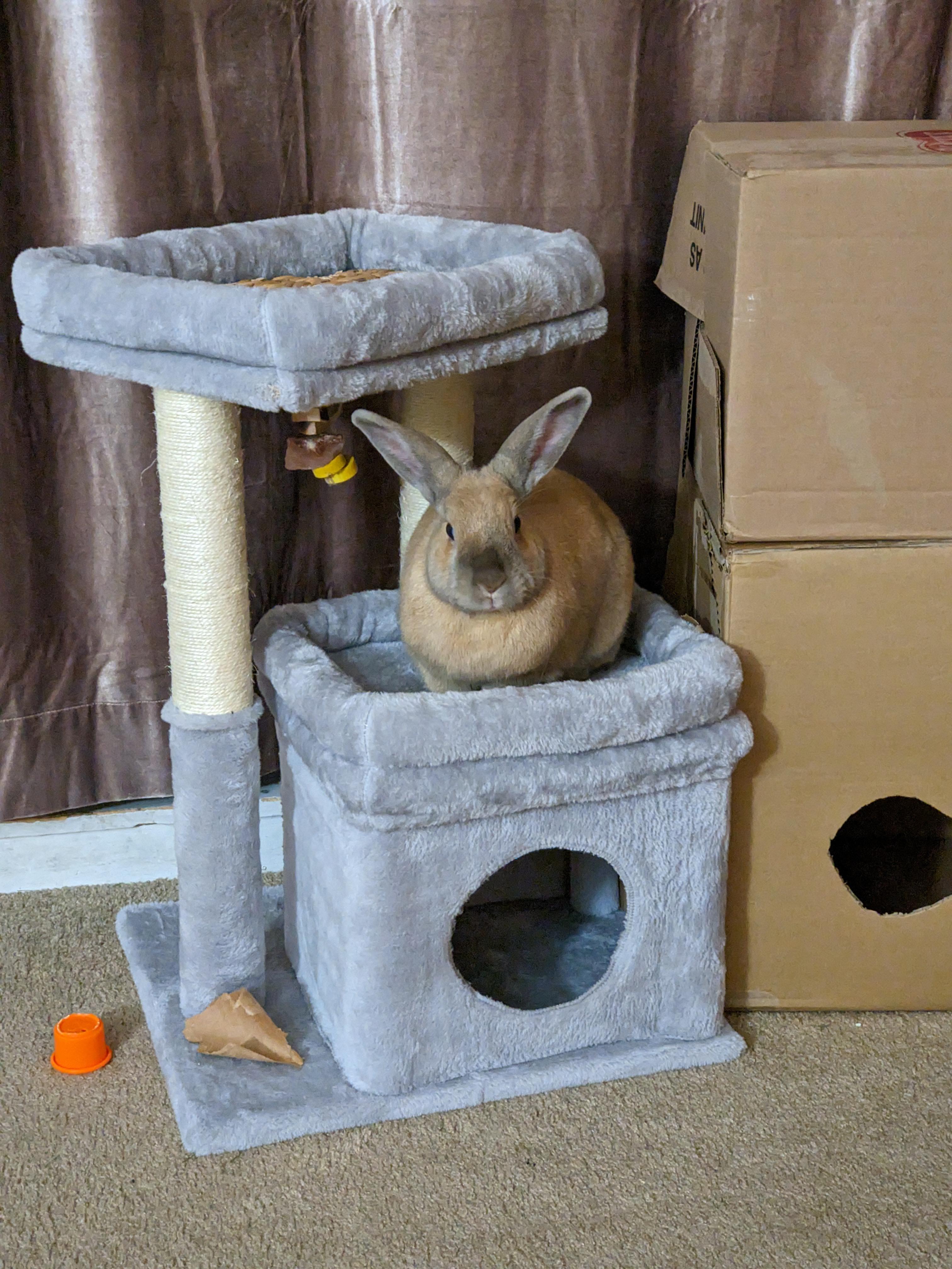 Double bun approved! | Scrolller