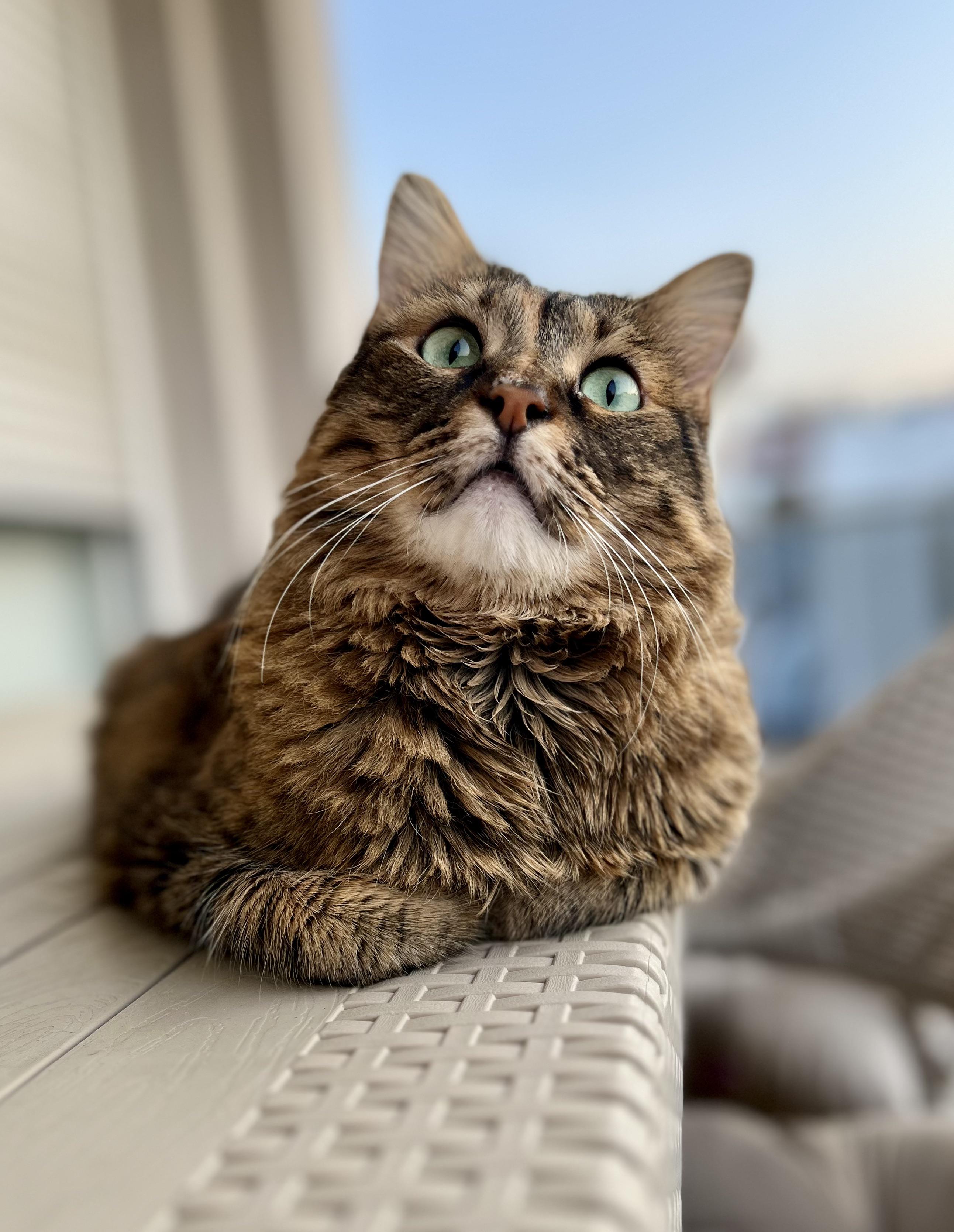Curious loaf | Scrolller