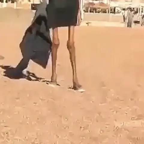 Cursed_: | Scrolller