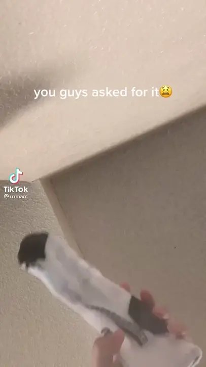 Cursed_ASMR | Scrolller