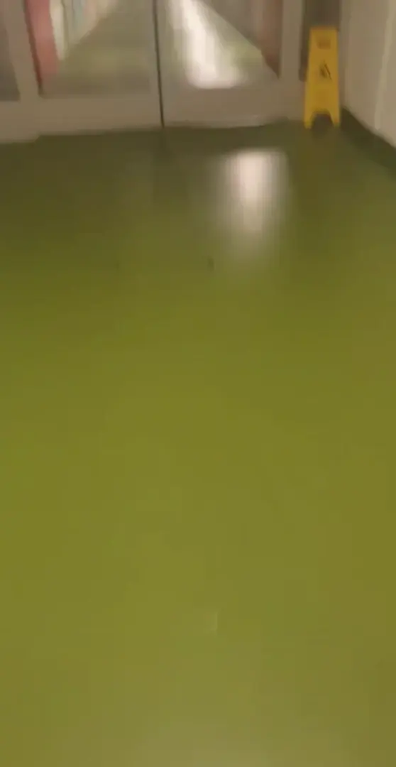 Discover more like Cursedvideos: cursed_backrooms and Related Content | Scrolller