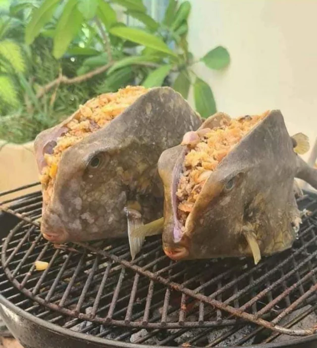 Cursed_bbq | Scrolller
