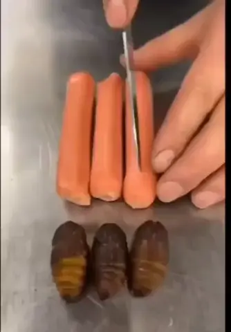 cursed_bbq | Scrolller