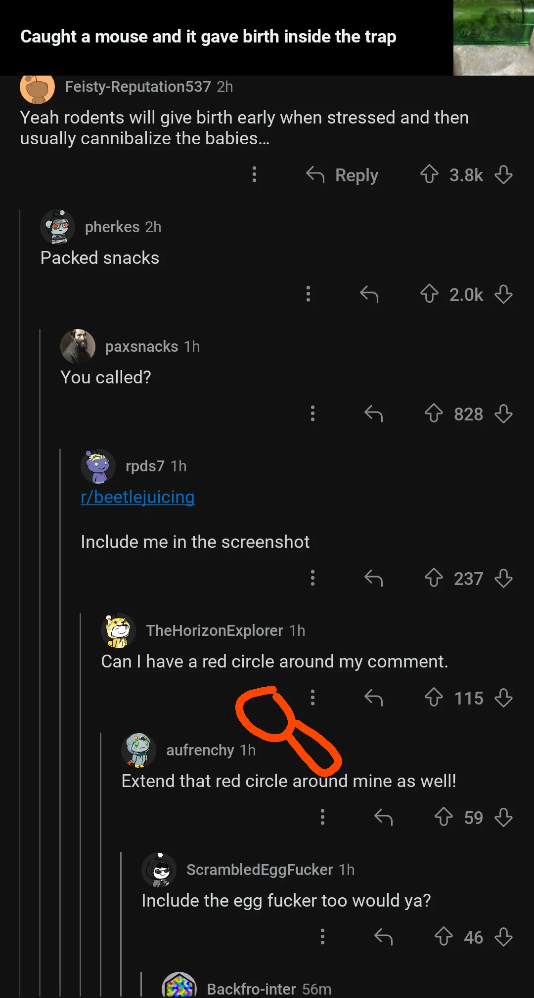 Cursed_comment | Scrolller