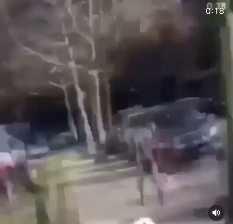 cursed_crackhead | Scrolller