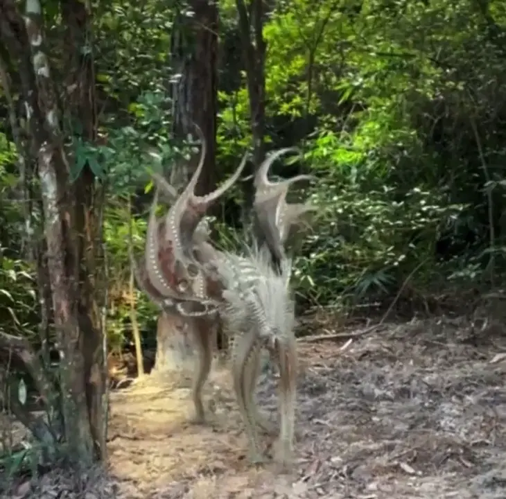 cursed_creature | Scrolller