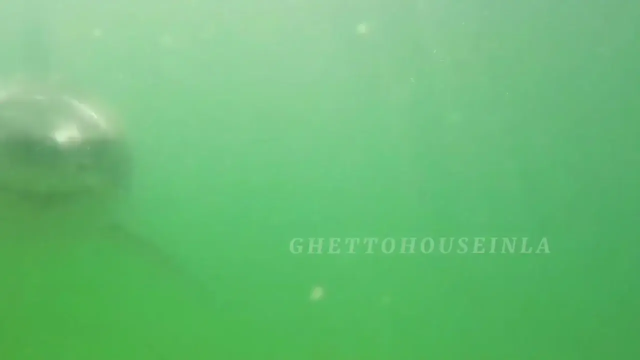 cursed_death experience | Scrolller