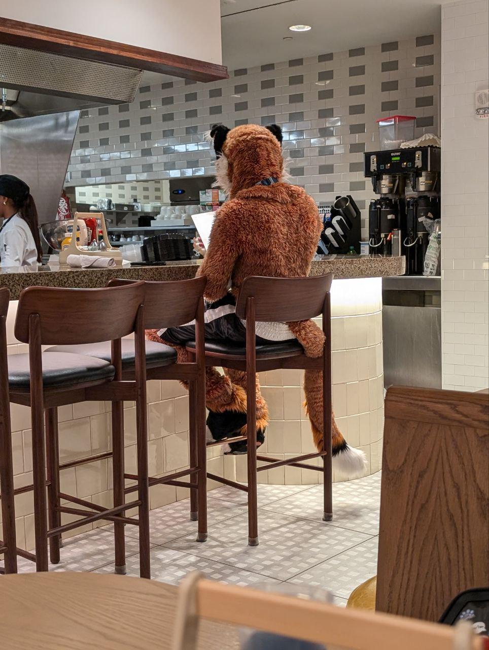 Cursed_diner | Scrolller