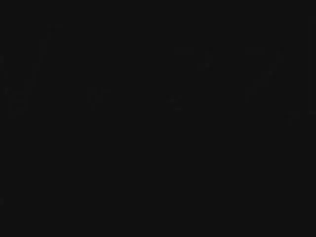 cursed_dolphin | Scrolller