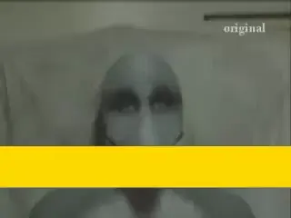 cursed_dolphin | Scrolller