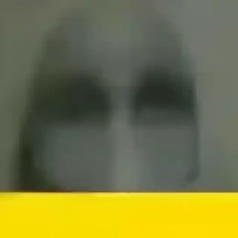 Discover more like Cursedvideos: Cursed_dolphin Muzzle and Related Content | Scrolller