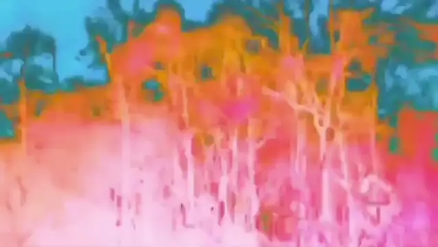 Cursed_dream | Scrolller