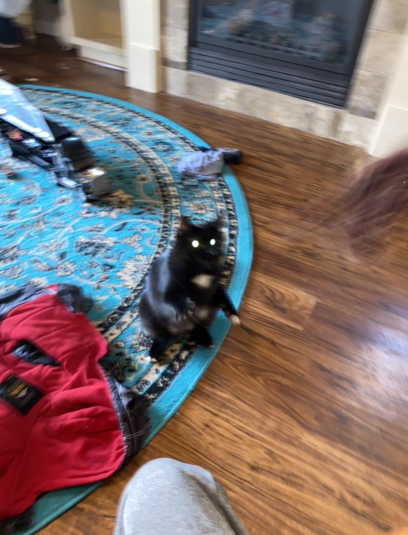 Cursed_eyes | Scrolller