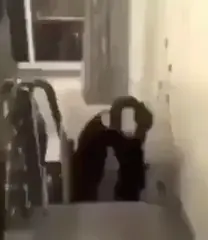 Cursed_FetchMeTheirSouls | Scrolller