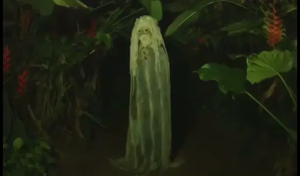 Discover more like Cursedvideos: cursed_garden and Related Content | Scrolller