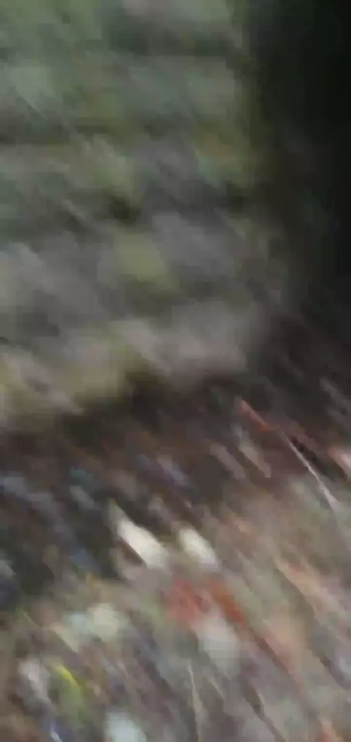 Discover more like Cursedvideos: Cursed_ hazmat man and Related Content | Scrolller