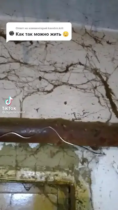 Cursed_house | Scrolller