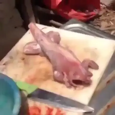Cursed_meat | Scrolller