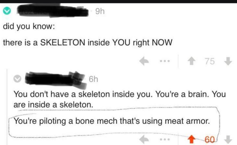 Cursed meat armor | Scrolller