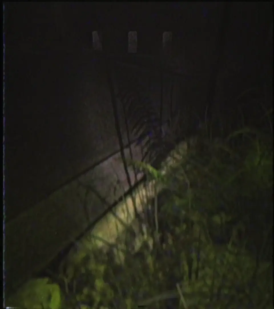 cursed_mothman | Scrolller