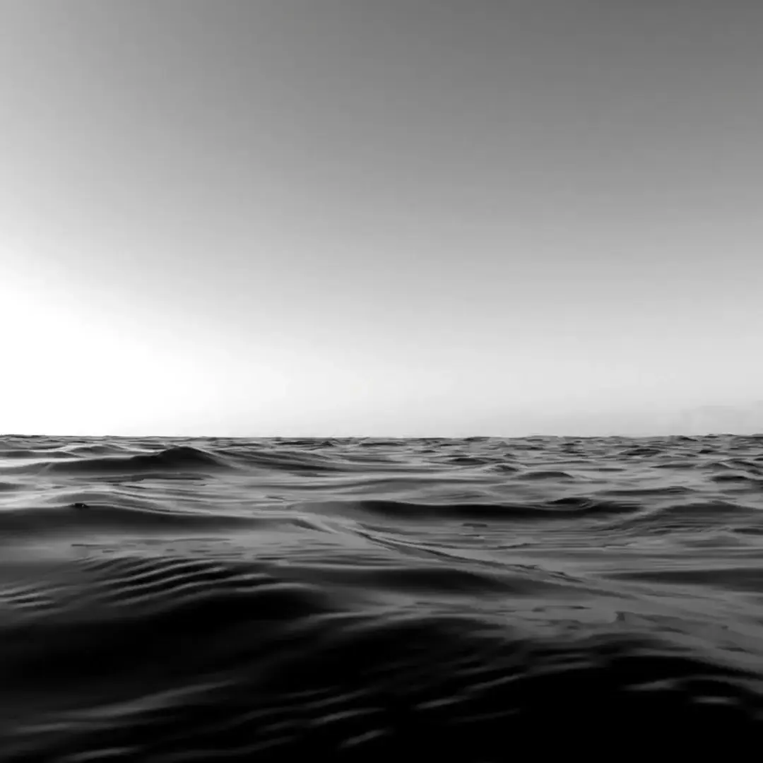 cursed_muta.avi (do not watch at 3am) | Scrolller