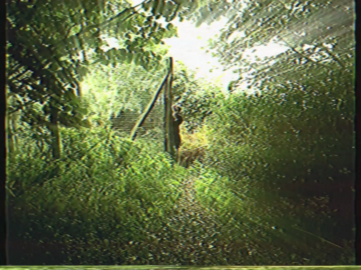 cursed_our.nightmare | Scrolller