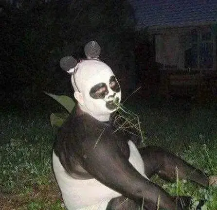 Cursed_panda | Scrolller