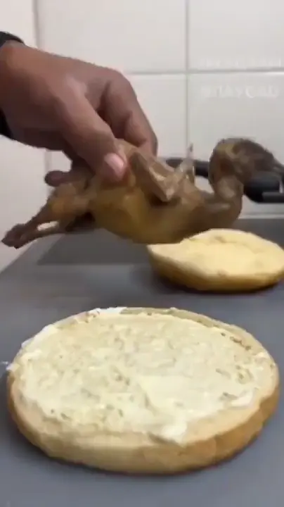 cursed_sandwich | Scrolller