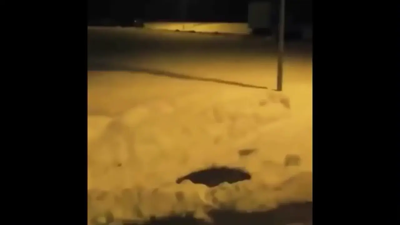 cursed_sound | Scrolller