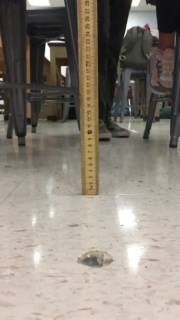 cursed_sound | Scrolller