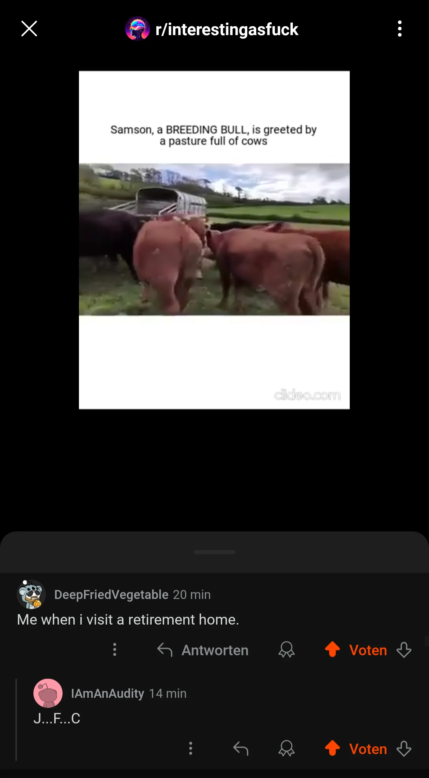 Cursed_visit | Scrolller