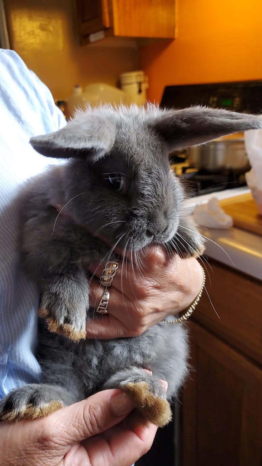 Cute Feet 🐰🐰🤍 Scrolller
